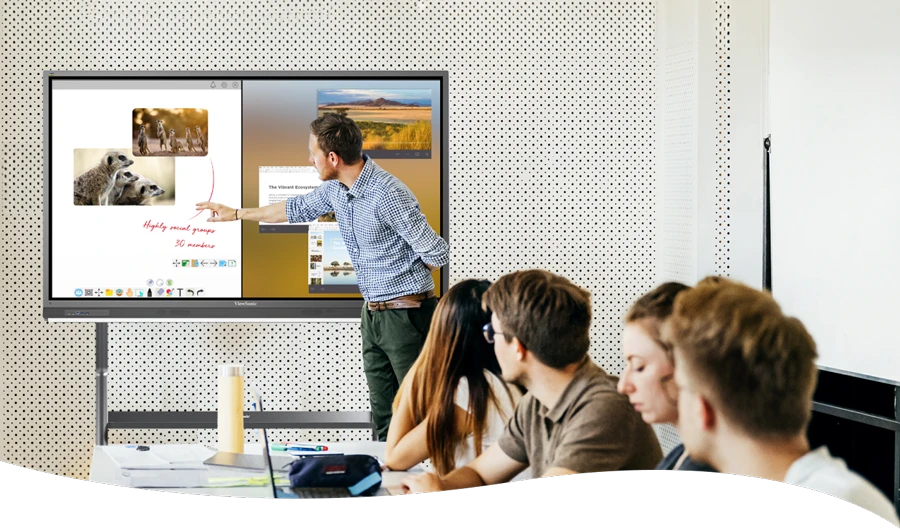 ViewBoard® Interactive Displays for Classrooms & Schools