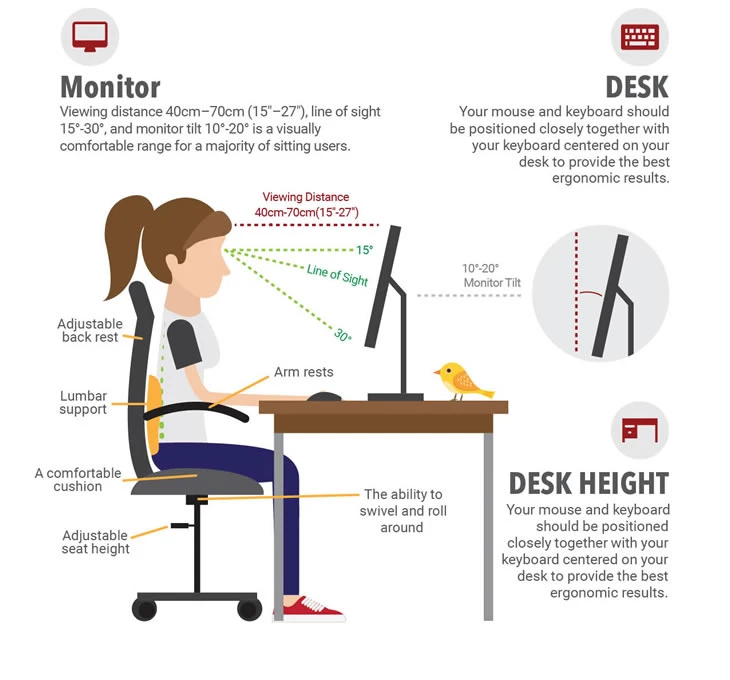 OFFICE ERGONOMICS THE COMPLETE GUIDE - News - Company Information ...