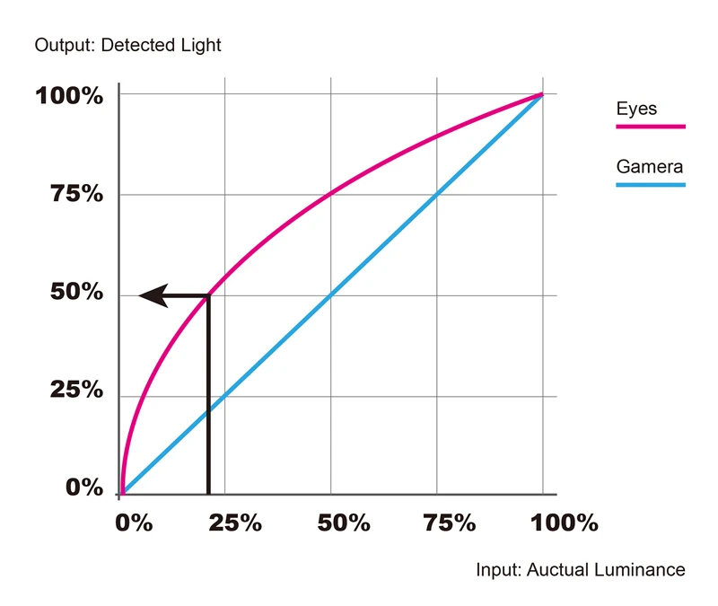 Accurate Gamma 2.2 And Pre-set 5 Gamma Settings